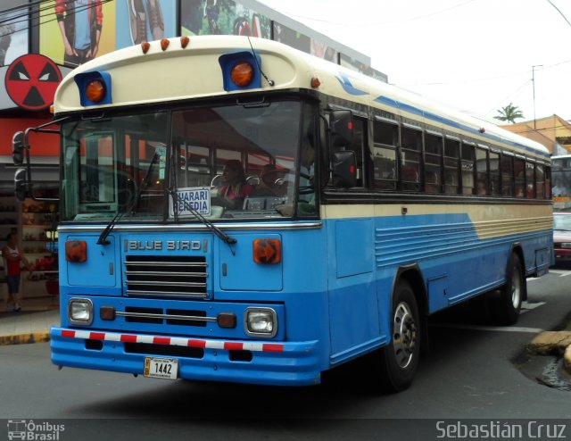 Grupo Acuza Barveña HB 1442 em por Sebastián Cruz - ID:2421337 - Ônibus ...